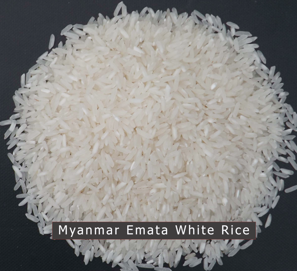 Rice Export – XY Group of Companies